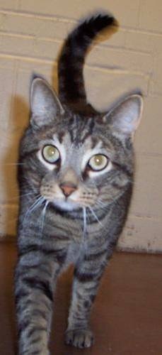 Withfriends Events - Sun, Jan 11 - Forrest Philpot Band | Ironbound ...